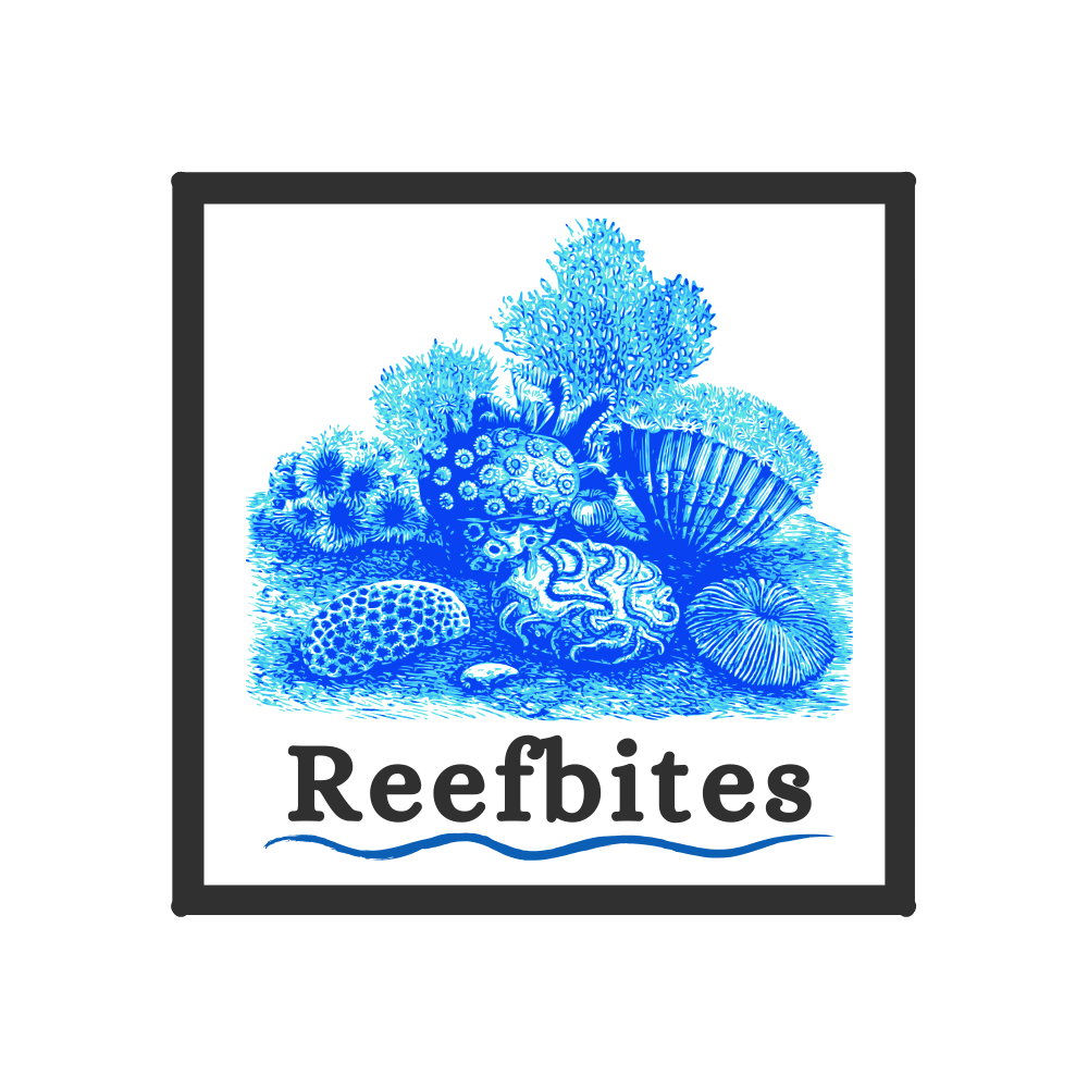 Science Bites – Have a bite of science!