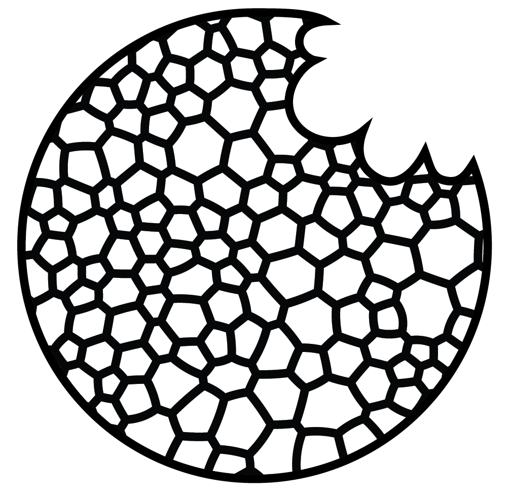 Science Bites – Have a bite of science!