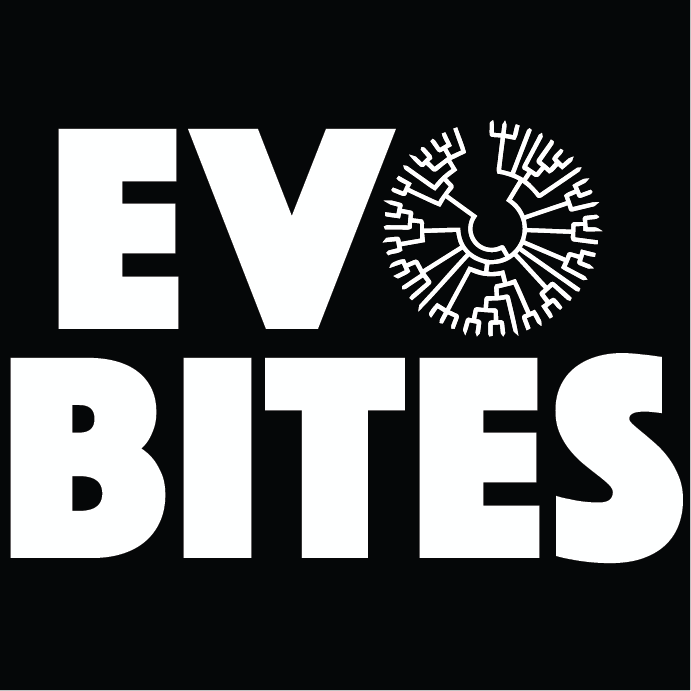 Science Bites – Have a bite of science!